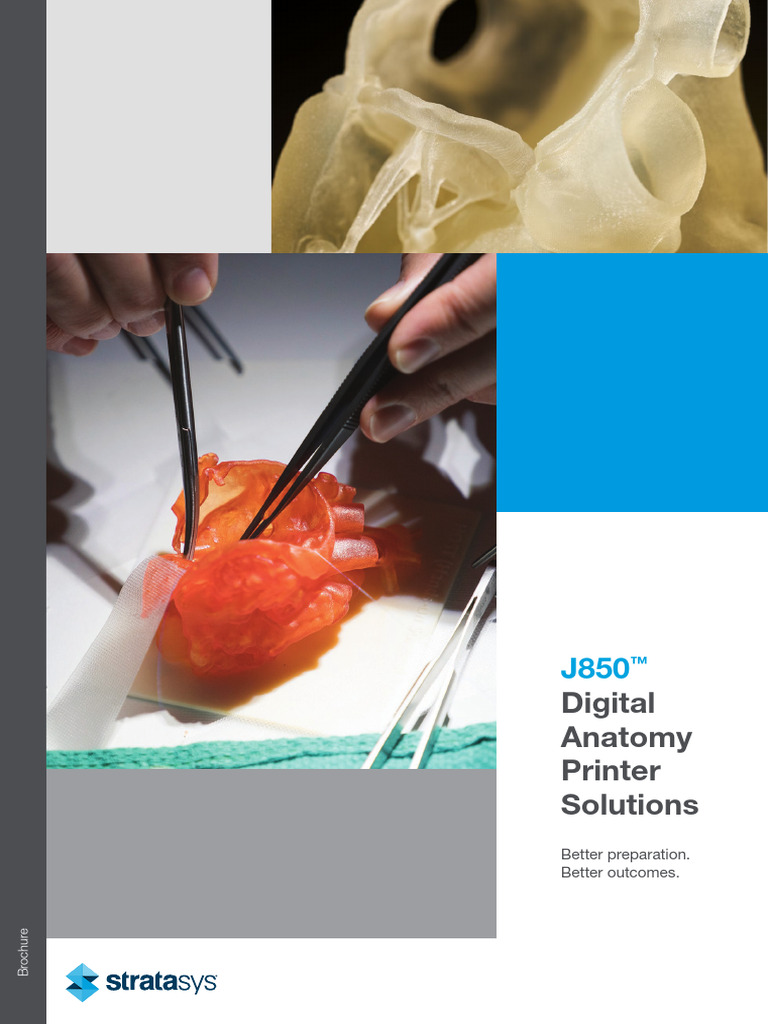 BR PJ Me j850-Digital-Anatomy A4 0122a-2 | PDF | Biomechanics | Anatomy