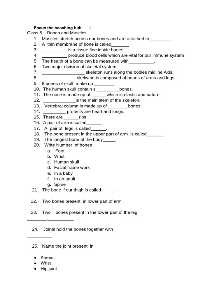 Class 5 Bones and Muscles Worksheet | PDF | Bone | Skeleton