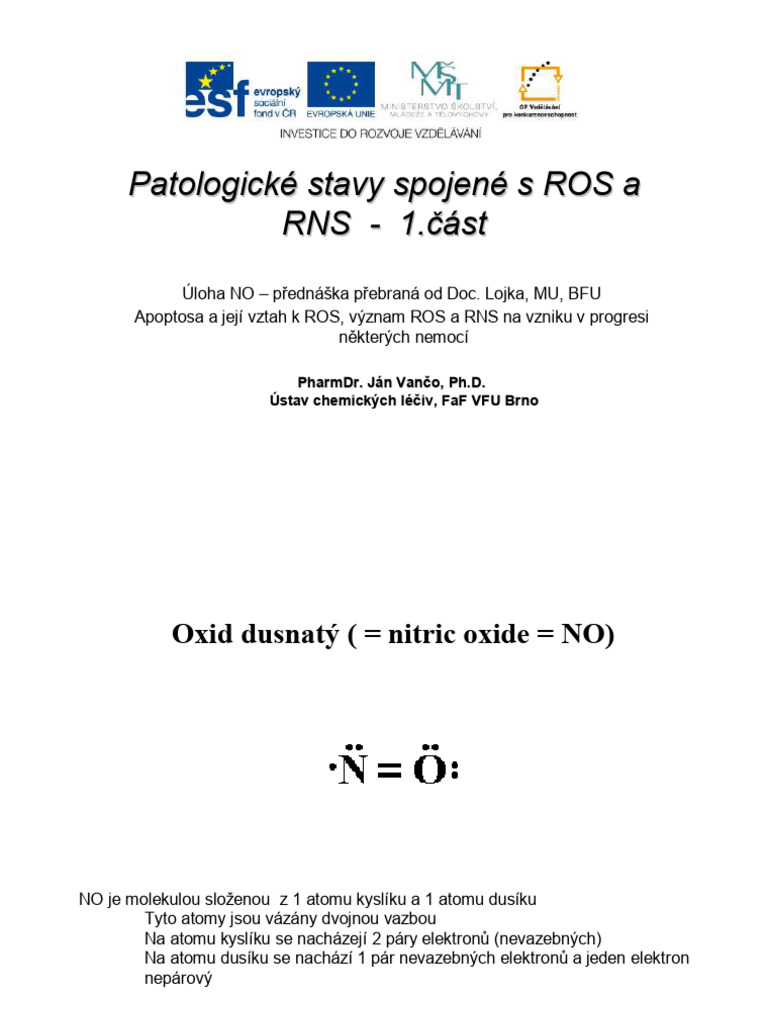 7-Patologické Stavy Spojené S ROS A RNS - Opvk | PDF