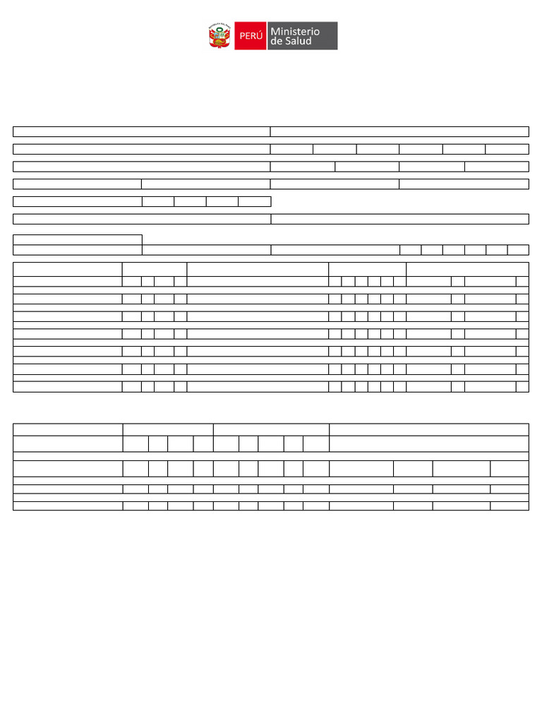 Formato II | PDF | Internet | Wifi