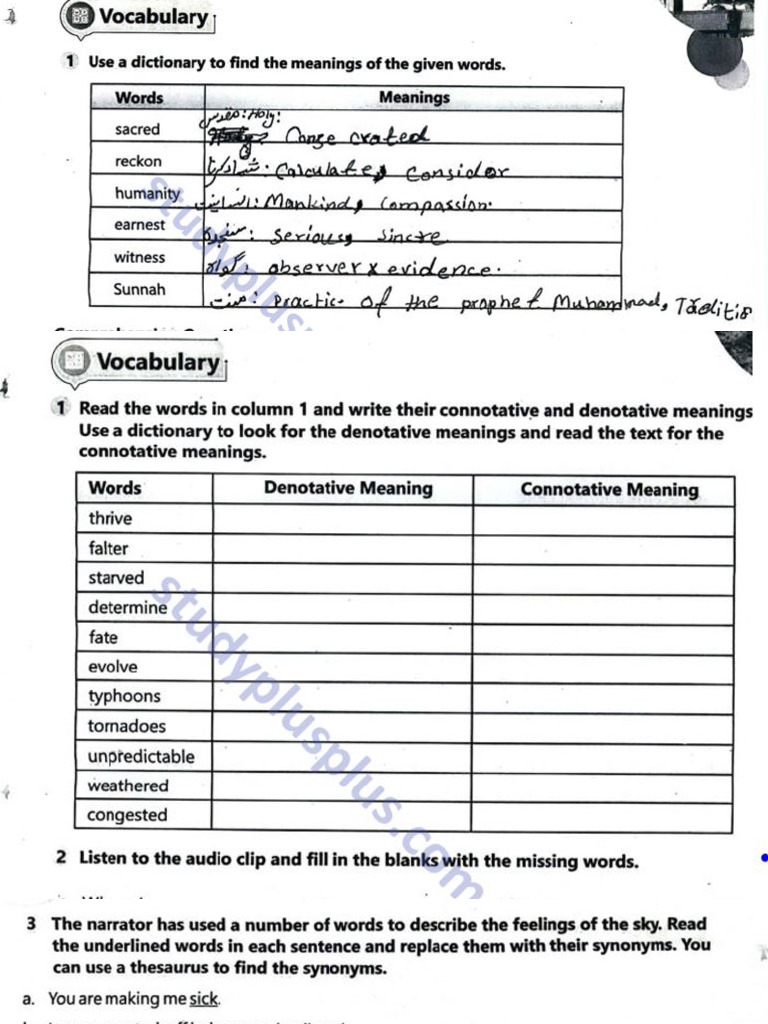 English Class 7 | PDF