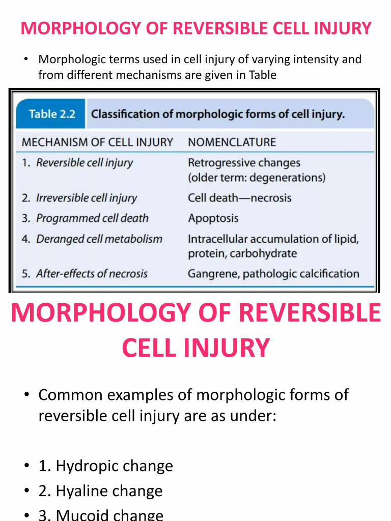 Morphology of Cell Injury Reversible | PDF