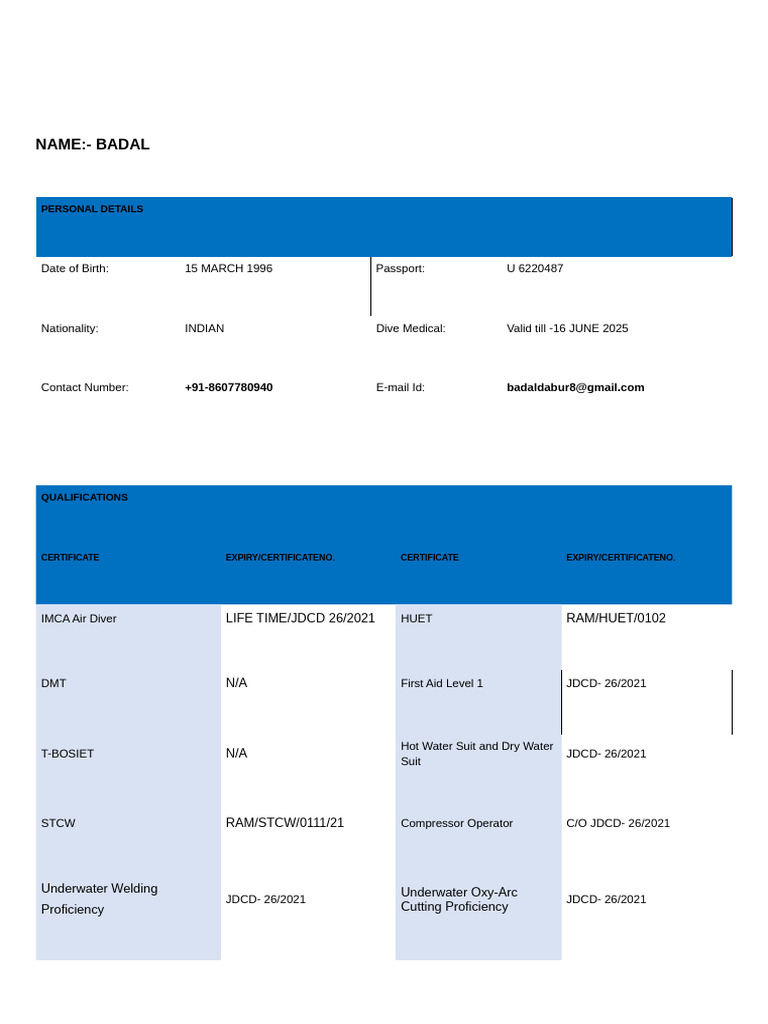 BADAL Latest - CV Final PDF | PDF | Occupational Safety And Health ...