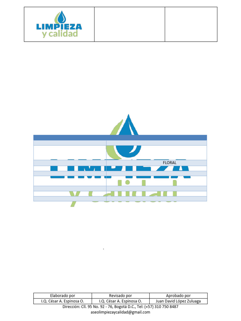 FT Detergente en Polvo | PDF | Agua | Detergente