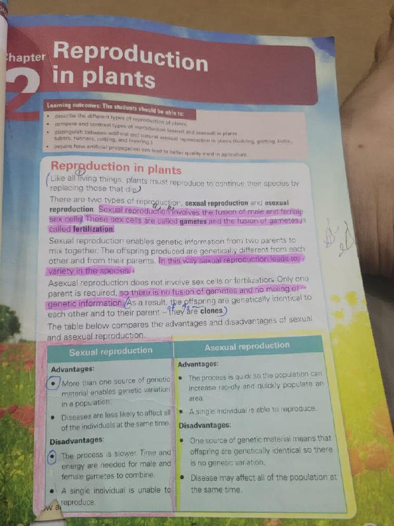 Chapter 2 Science Class 6 | PDF