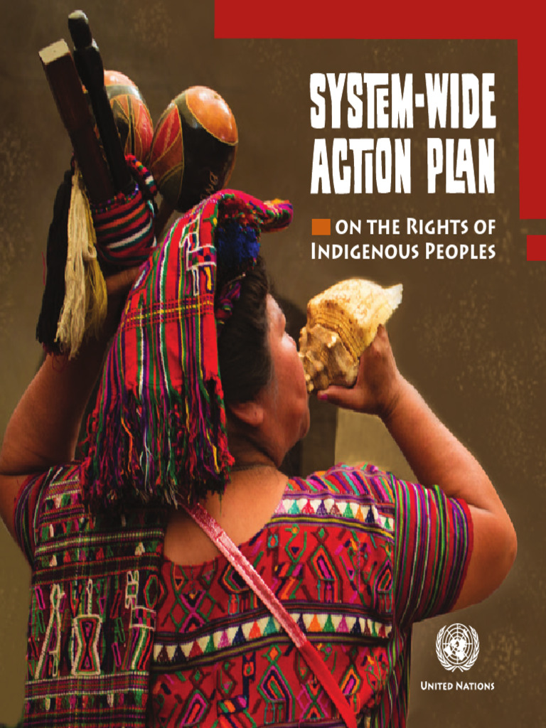 SWAP Indigenous Peoples WEB | PDF | United Nations | International ...