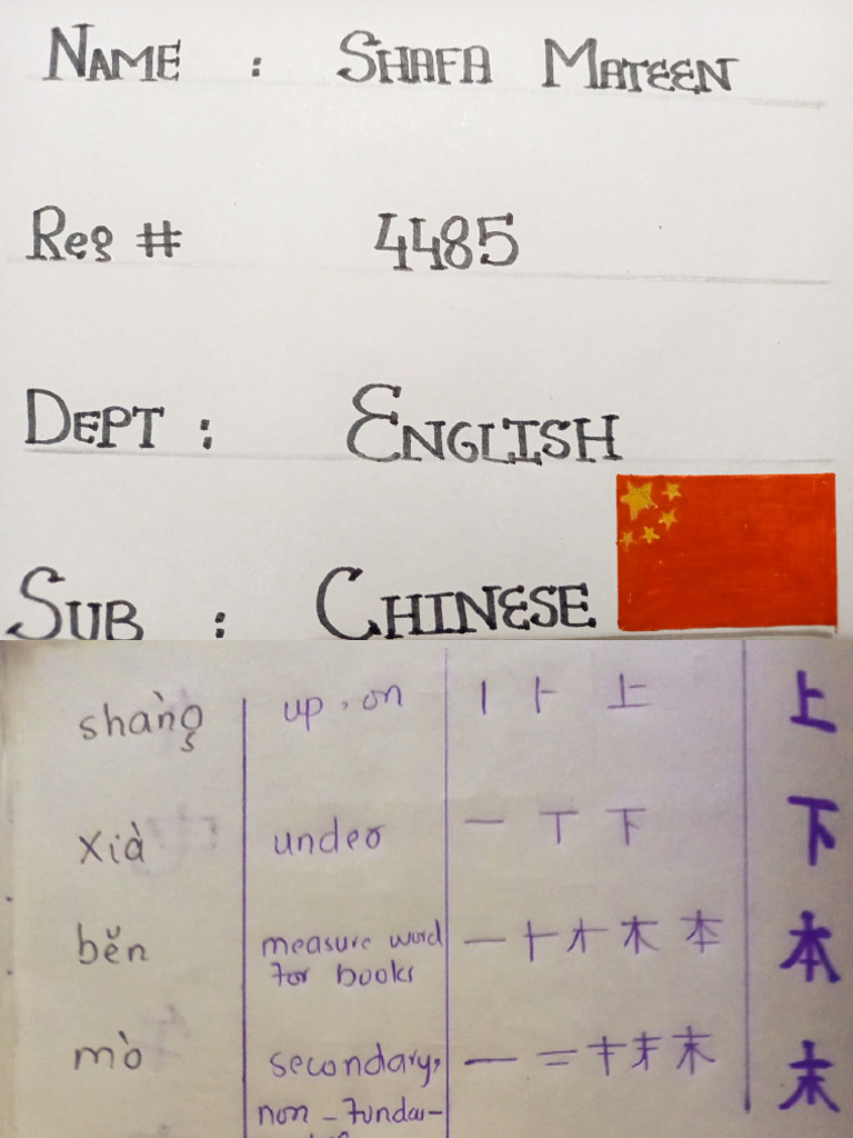 Chinese Homework,,,,Shafa Eng 4485 | PDF