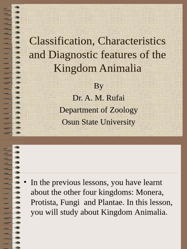 Classification of Kingdom Animalia | PDF | Vertebrates | Mollusca
