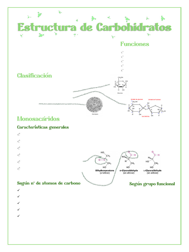 Estructura de Carbohidratos | PDF | Carbohidratos | Glucosa