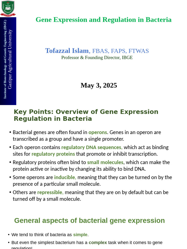 Bacterial Gene Regulation | PDF | Operon | Gene
