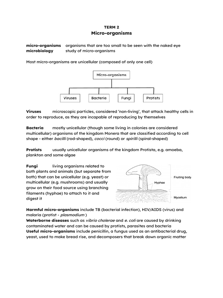 Natural Sciences summary notes | PDF | Atoms | Microorganism