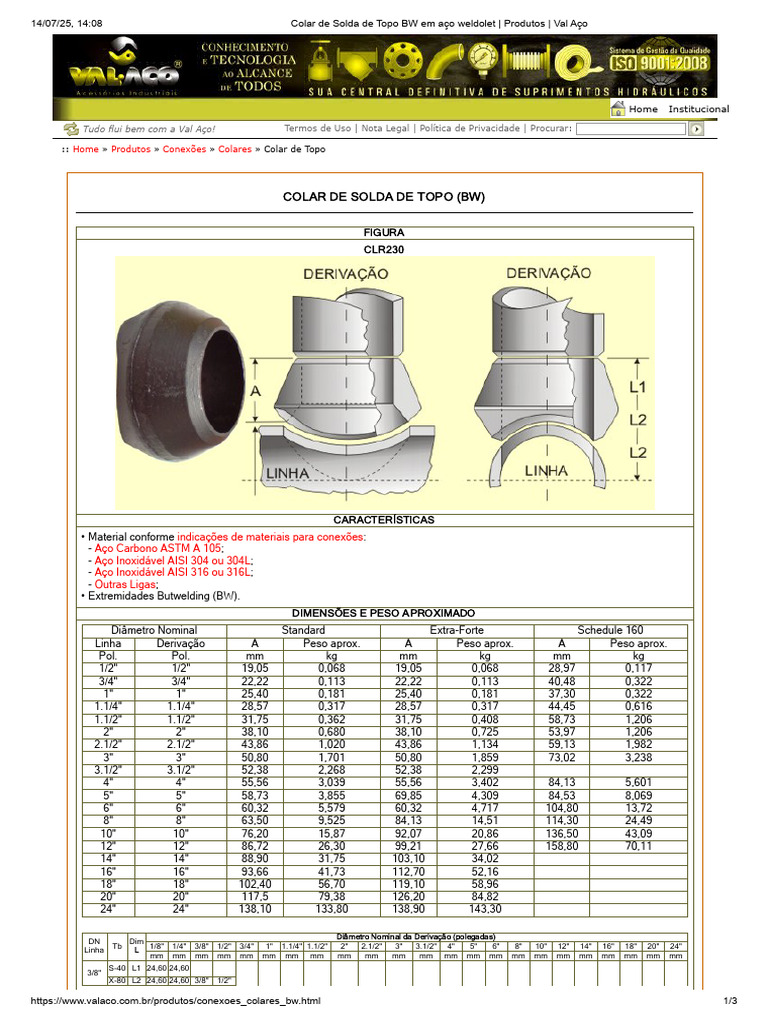 Colar Weldolet de Solda de Topo BW | PDF | Engenharia Mecânica | Metais ...