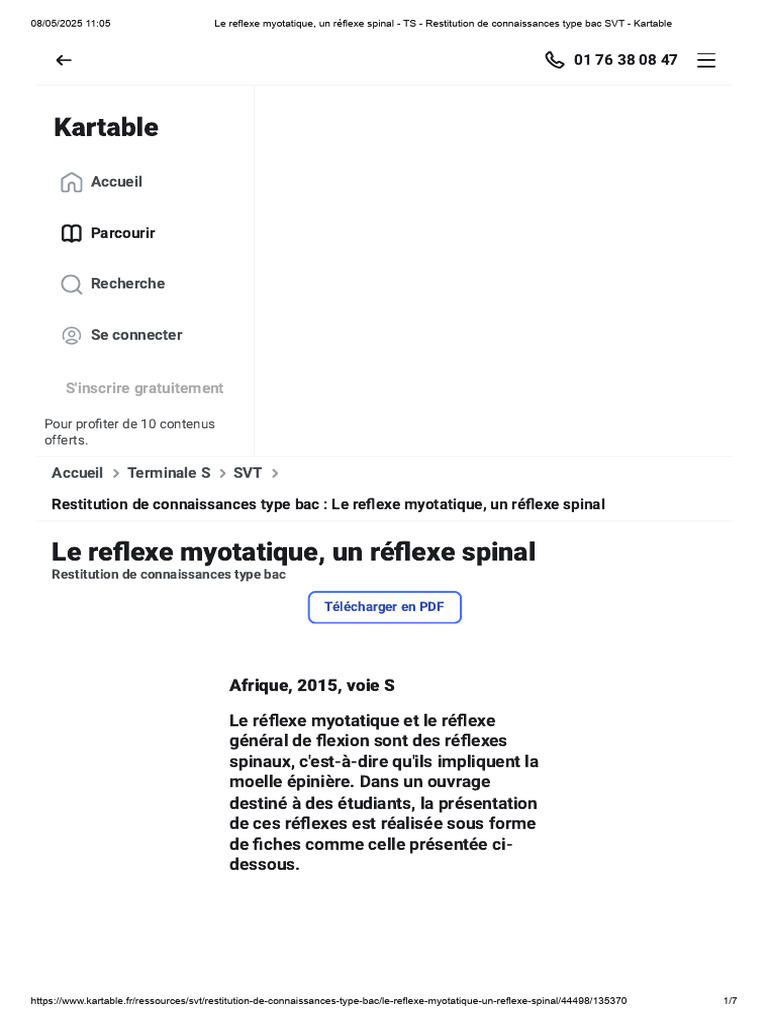 Le Reflexe Myotatique, Un Réflexe Spinal - TS - Restitution de ...
