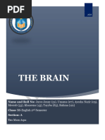 Brain Parts Labeling Worksheets | PDF | Brain | Human Brain