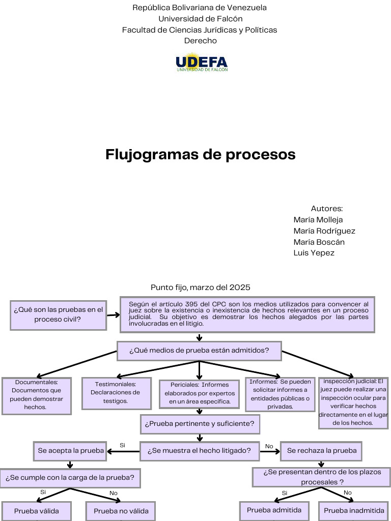 Flujogramas | PDF | Gobierno | Ley Pública