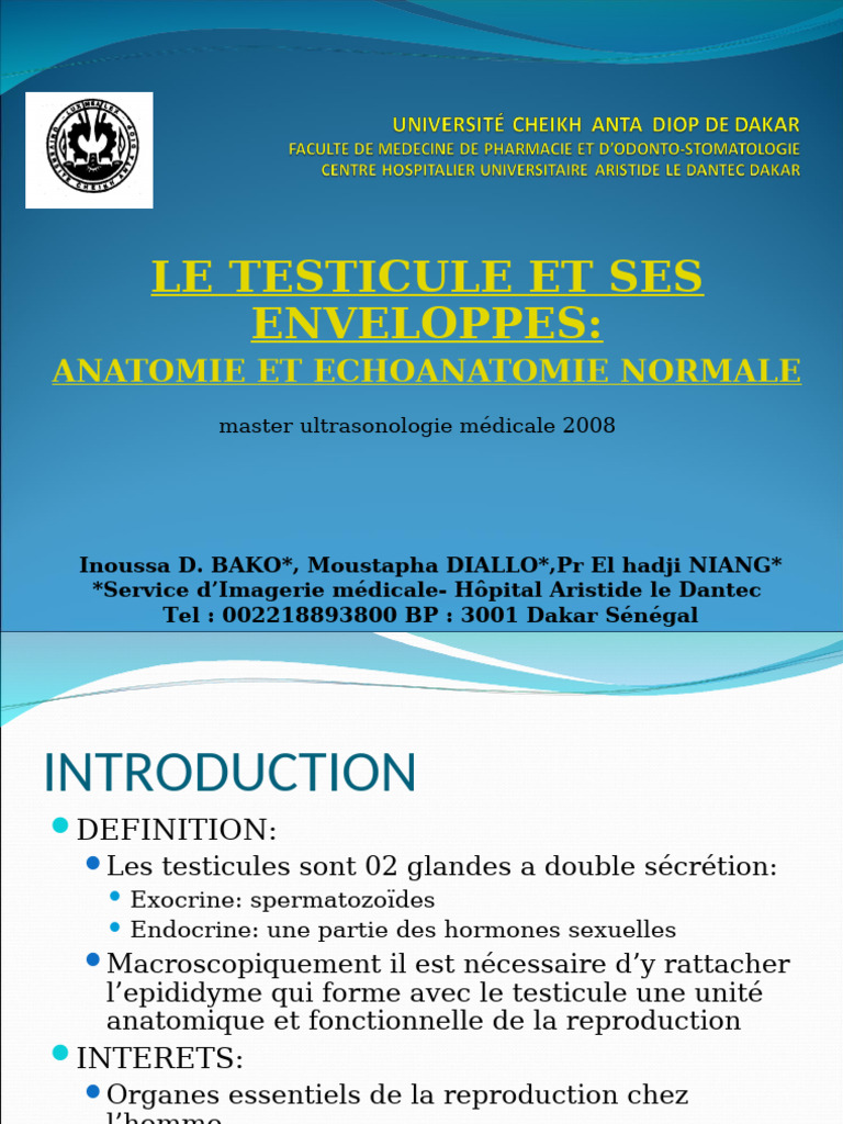 Anatomie et Échoanatomie des Testicules | PDF | Testicule | Anatomie