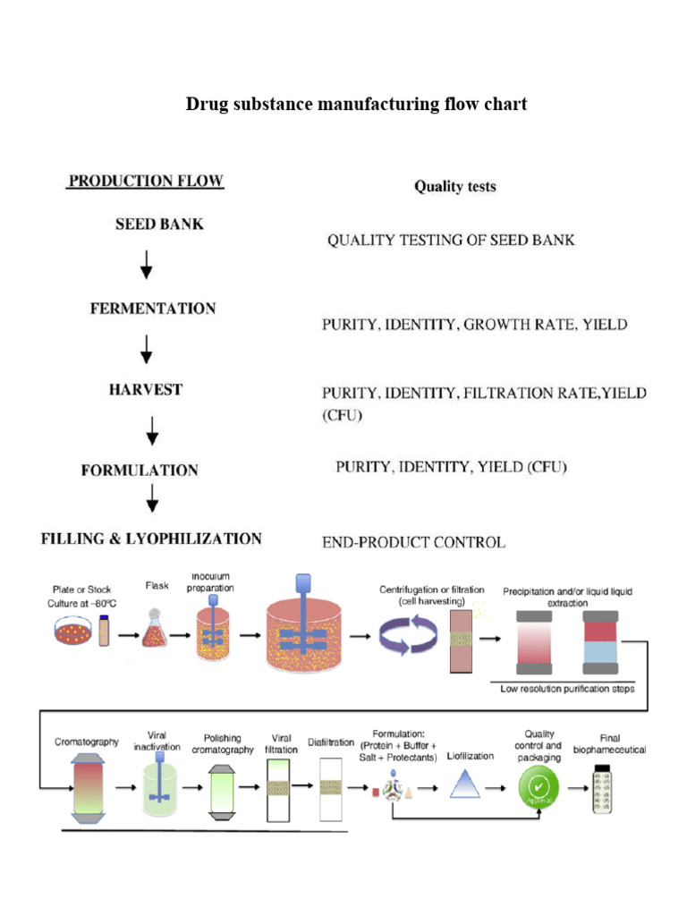 Bioprocess Flow Charts | PDF