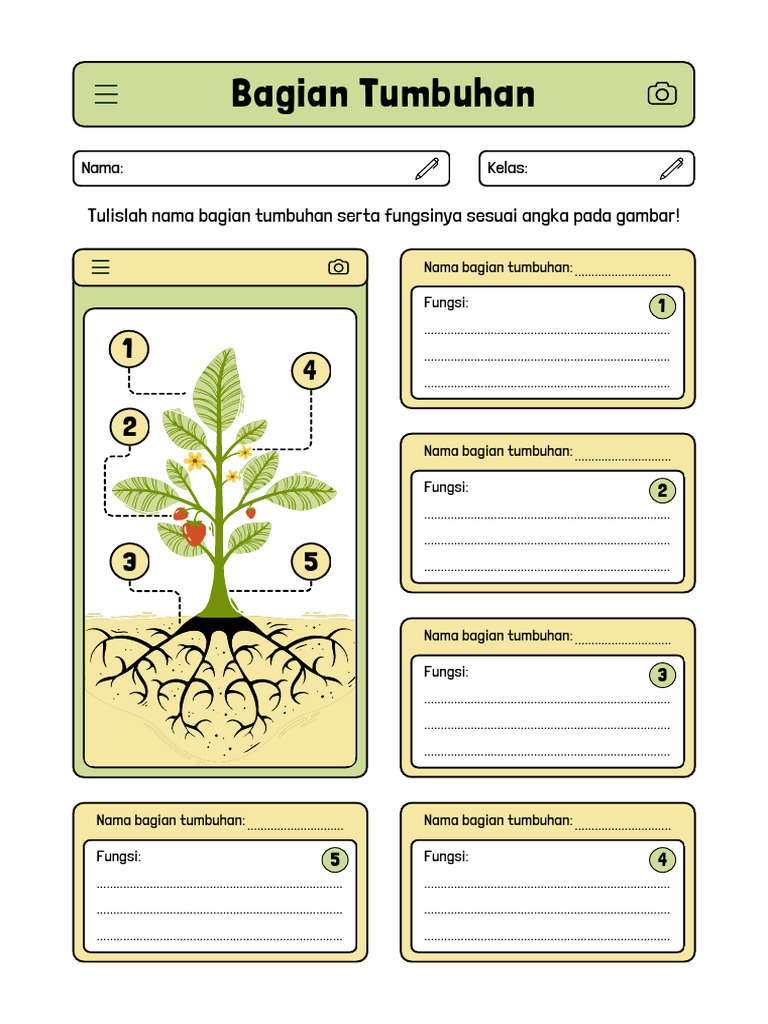 Bagian Tumbuhan dan Fungsinya Kelas 4 | PDF