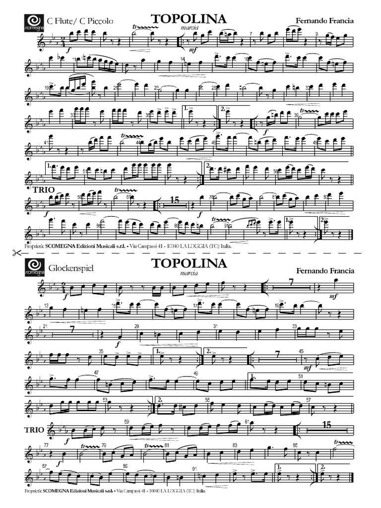 Topolina - Parts | PDF