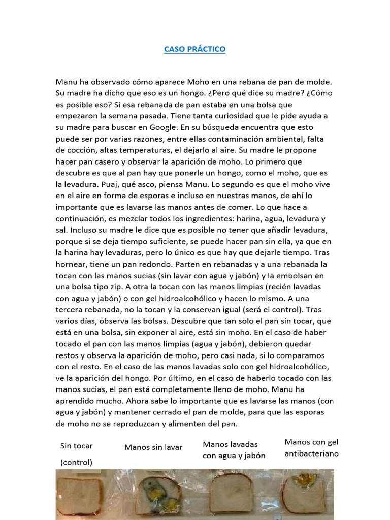 Manu y El Moho | PDF