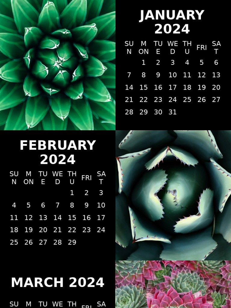Succulents Monthly Calendar | PDF