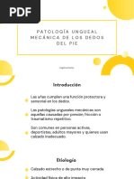 Guía sobre Cromoniquia y Alteraciones Ungueales | PDF | Clavo (anatomía ...
