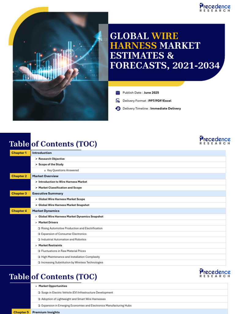 Sample Report - Global Wire Harness Market - 2024-2034 | PDF | Electric Vehicle | Automation