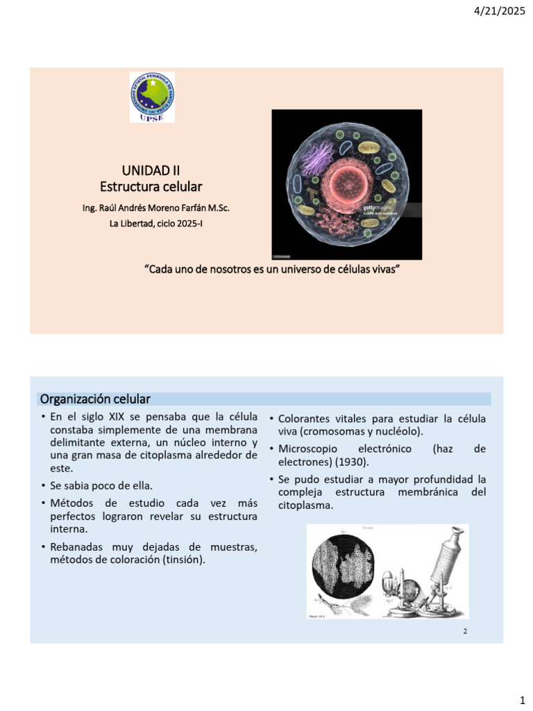 Estructura y Funciones de la Célula | PDF | Nucleo celular | Biología ...
