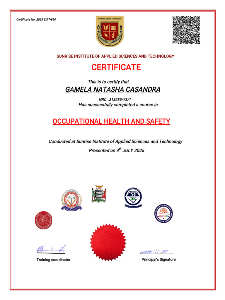 Occupational Health and Safety Certificate | PDF