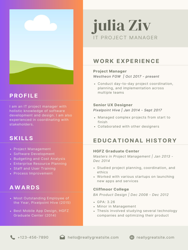 IT Project Manager Profile | PDF