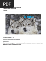 Lobos. Orientaciones Docentes - Continuemos Estudiando 1 | PDF ...