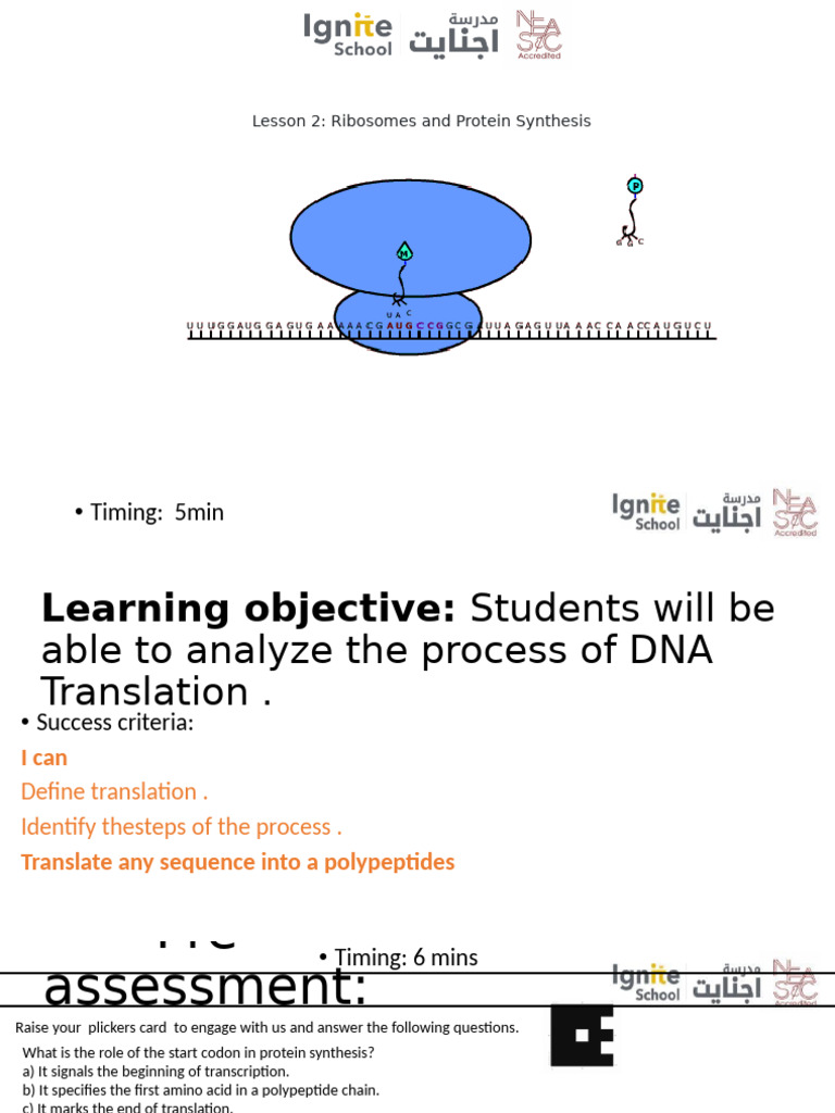 Ribosomes and Protein Synthesis | PDF | Translation (Biology) | Genetic ...