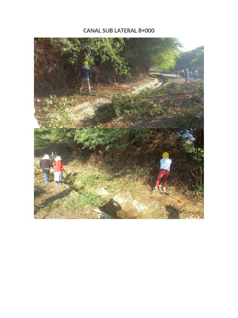 Canal Sub Lateral 8+000 | PDF