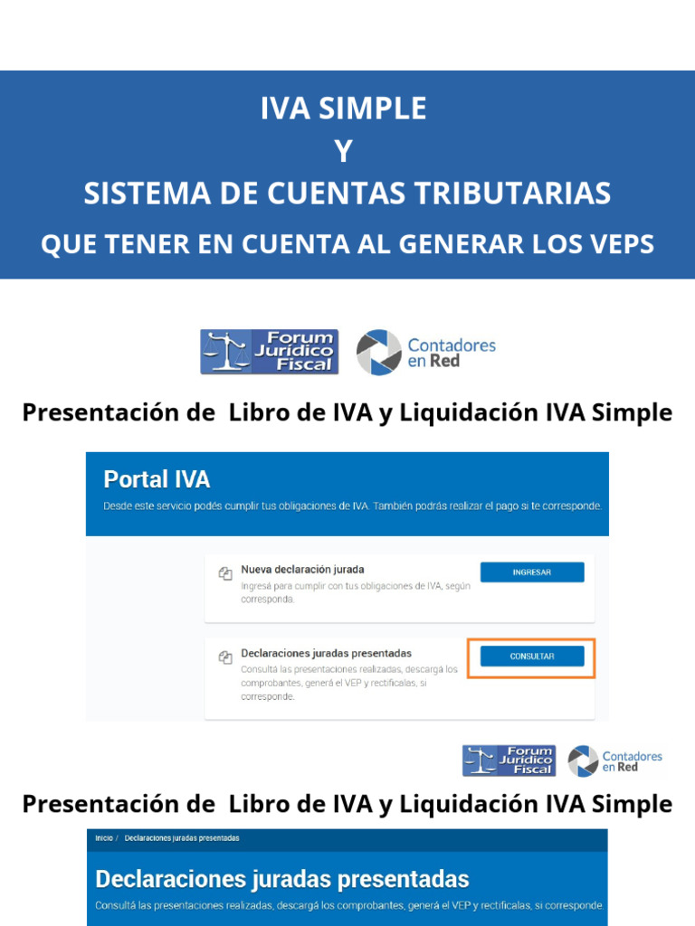 IVA Simple y SCT | PDF