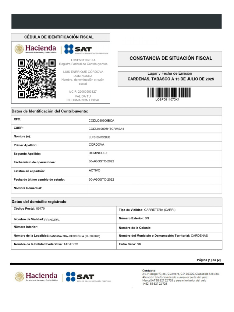 RFC Actualizado PDF | PDF