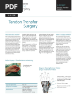 Mini Tightrope CMC Fixation | PDF | Thumb | Musculoskeletal System