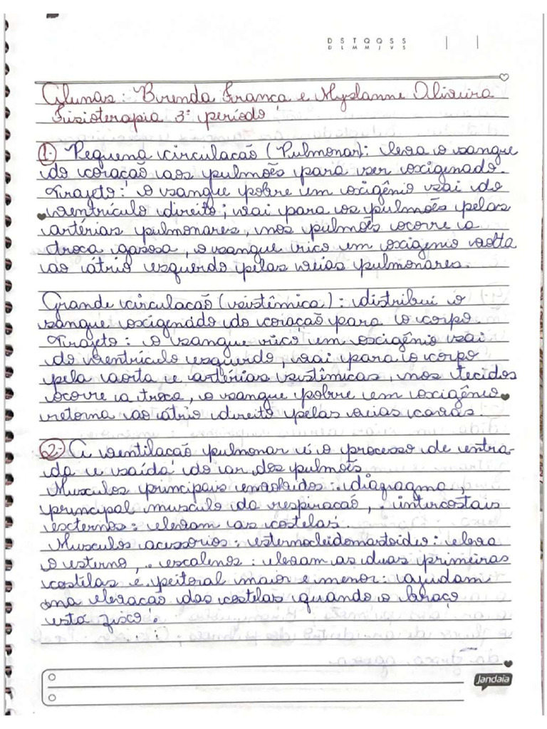 Atividade Formativa | PDF