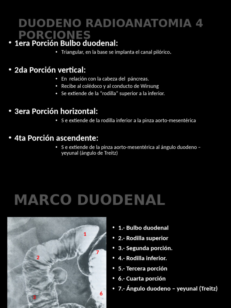 Sem 9 C 18 I Patolo-S. Digestivo I | PDF | Tracto gastrointestinal ...