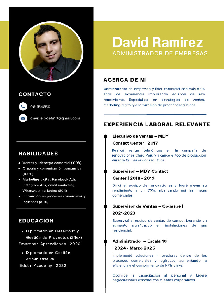 Currículum Vitae 2025 - 20250709 - 181121 - 0000 | PDF | Marketing ...