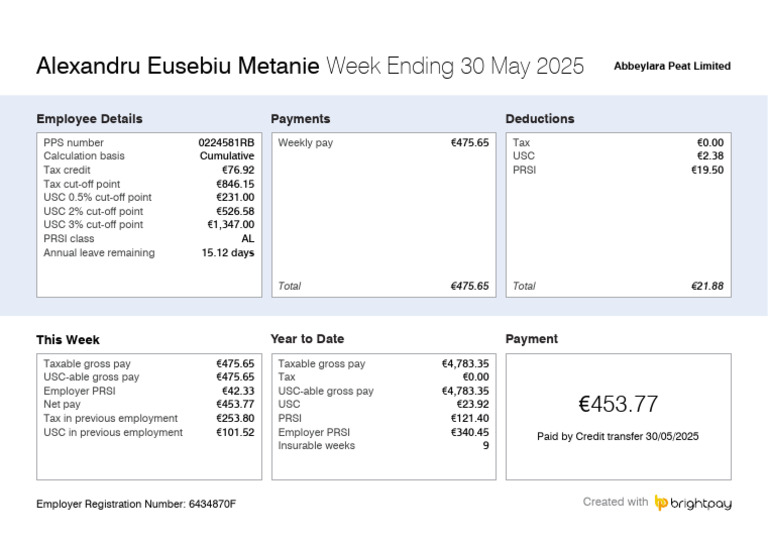 Payslip - Alexandru Eusebiu Metanie - 30-05-2025 | PDF