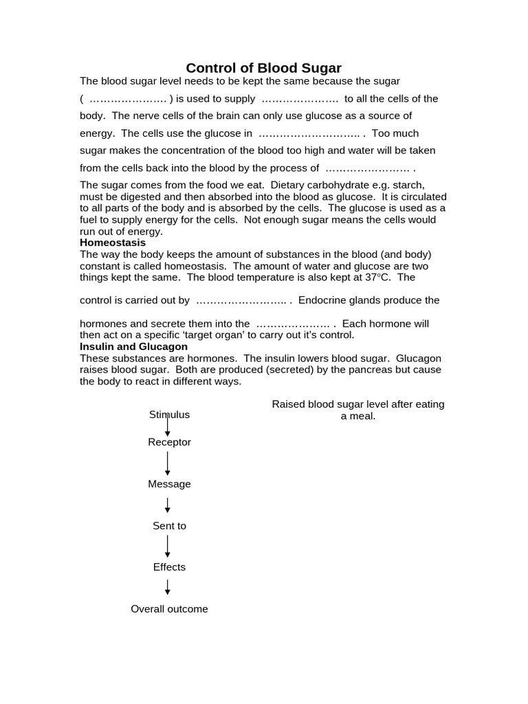 Control of Blood Sugar Worksheet | PDF | Diabetes | Glucose