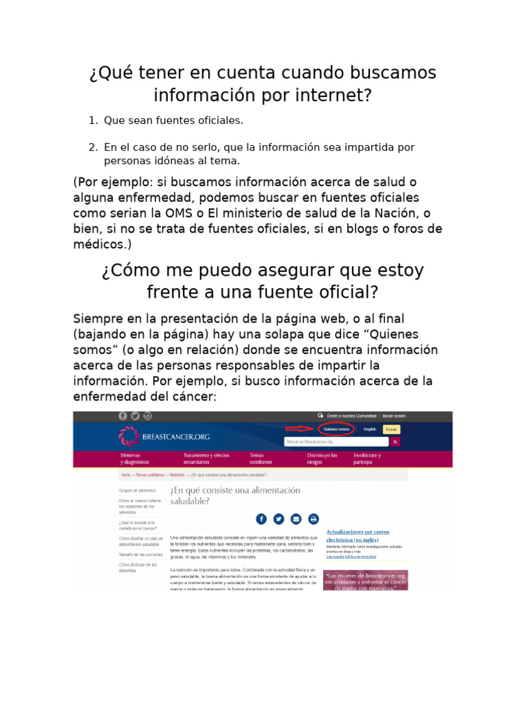 Como Buscar Informacion en Internet | PDF