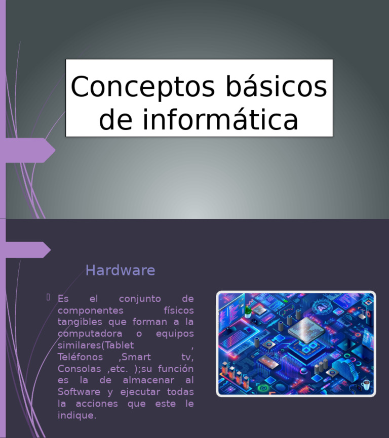 Conceptos Básicos de Informática | PDF