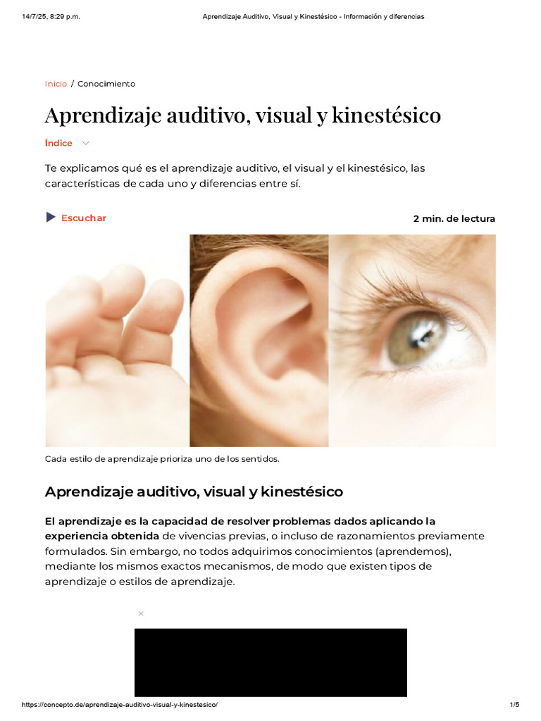 Tipos de Aprendizaje: Auditivo, Visual y Kinestésico | PDF ...