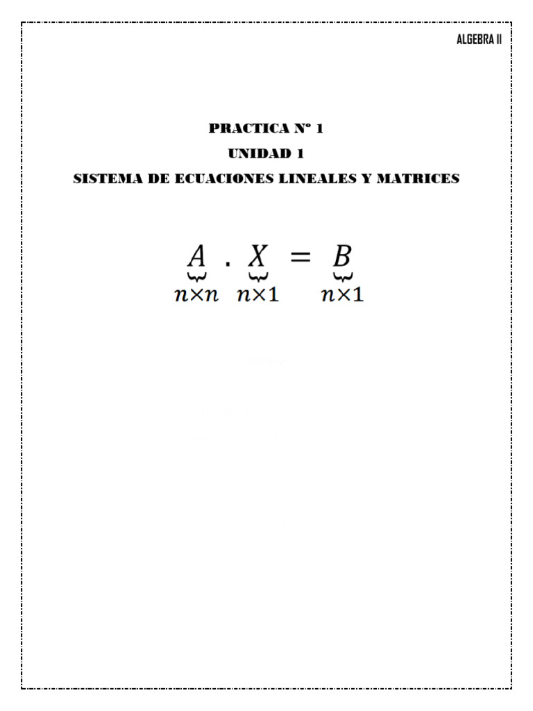 Practica 1 Algebra II SISTEMA DE ECUACIONES LINEALES Y MATRICES | PDF