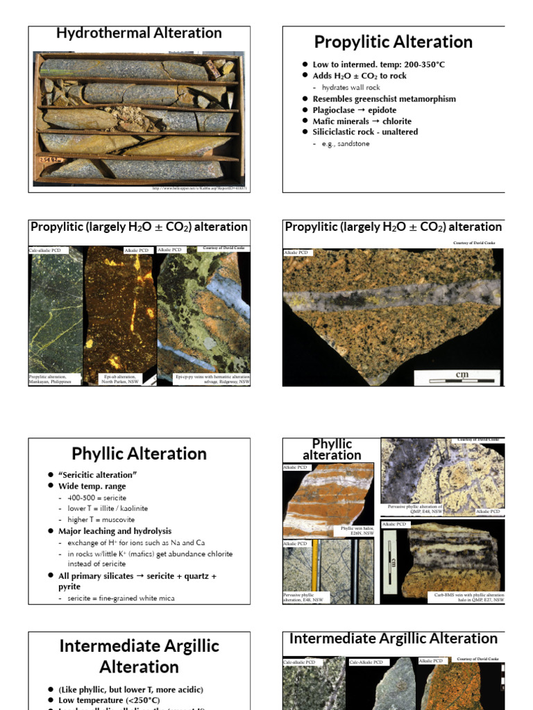 Types of Hydrothermal Alteration | PDF | Igneous Rock | Minerals