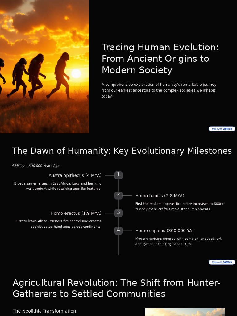 Tracing Human Evolution From Ancient Origins To Modern Society | PDF ...