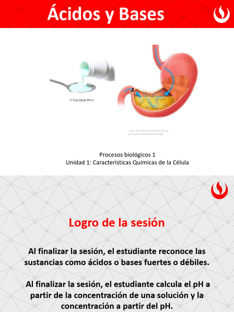 Ácidos y Bases: Definición y Cálculo de pH | PDF | Ácido | Ph