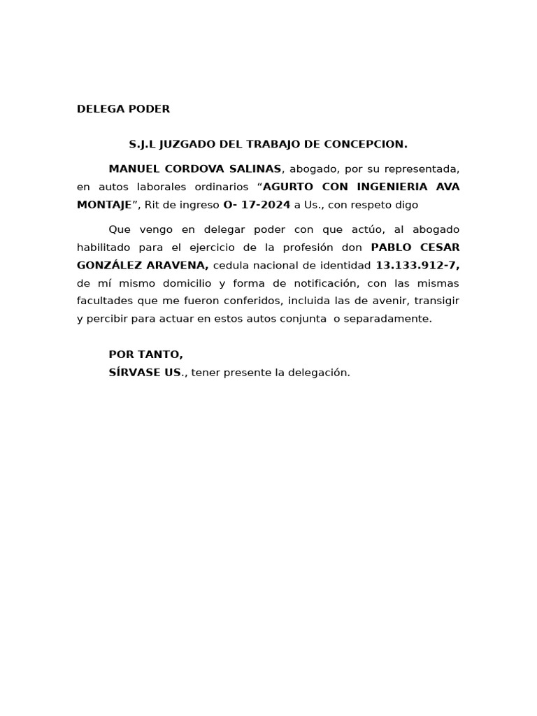 Delega Poder Causa Grupo BJ | PDF