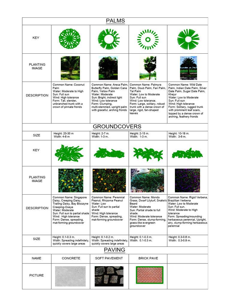 Tree Plantation Chart Group-5-Model04 | PDF | Arecaceae | Plants